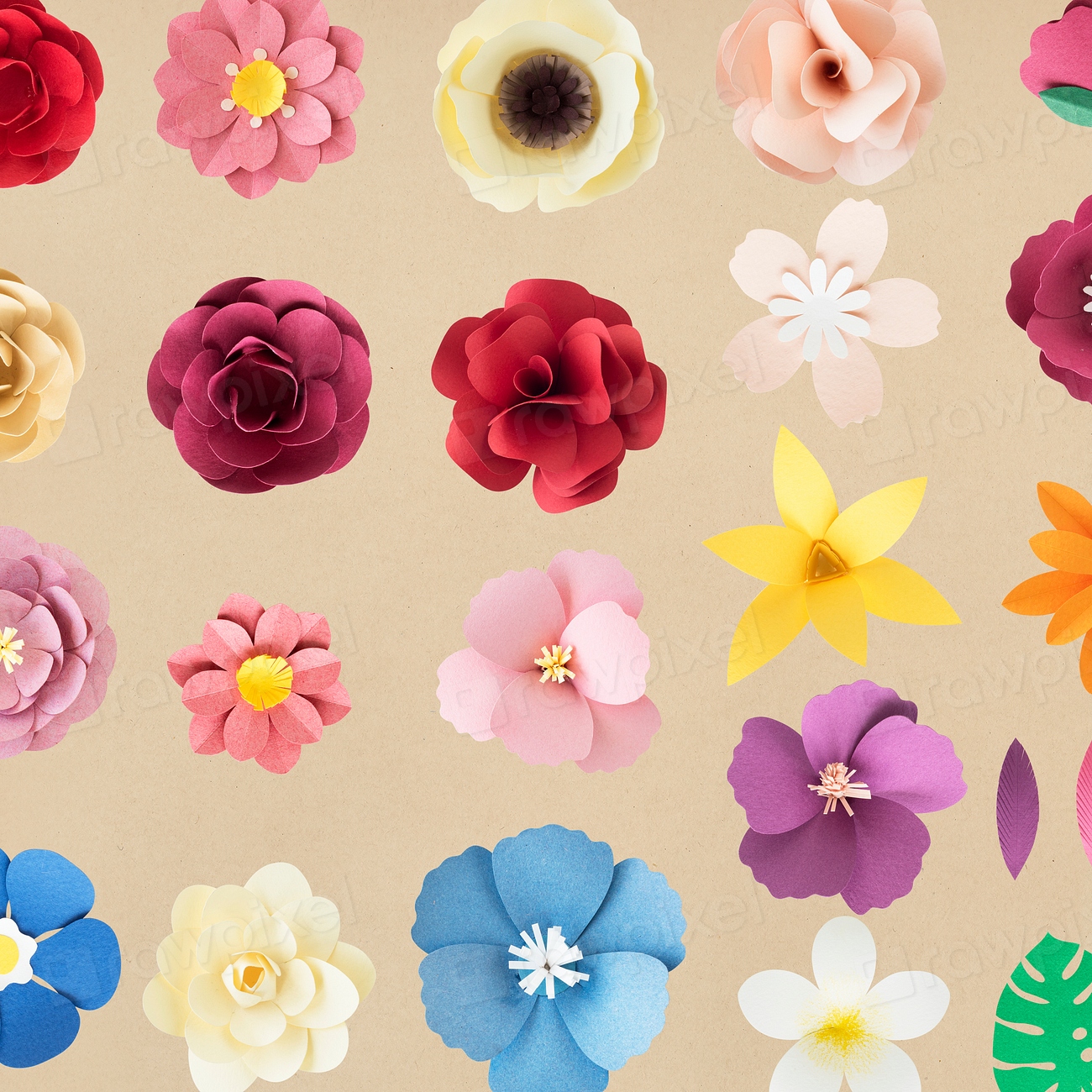 Flower Paper Craft PSD Royalty Free Stock Photos Rawpixel